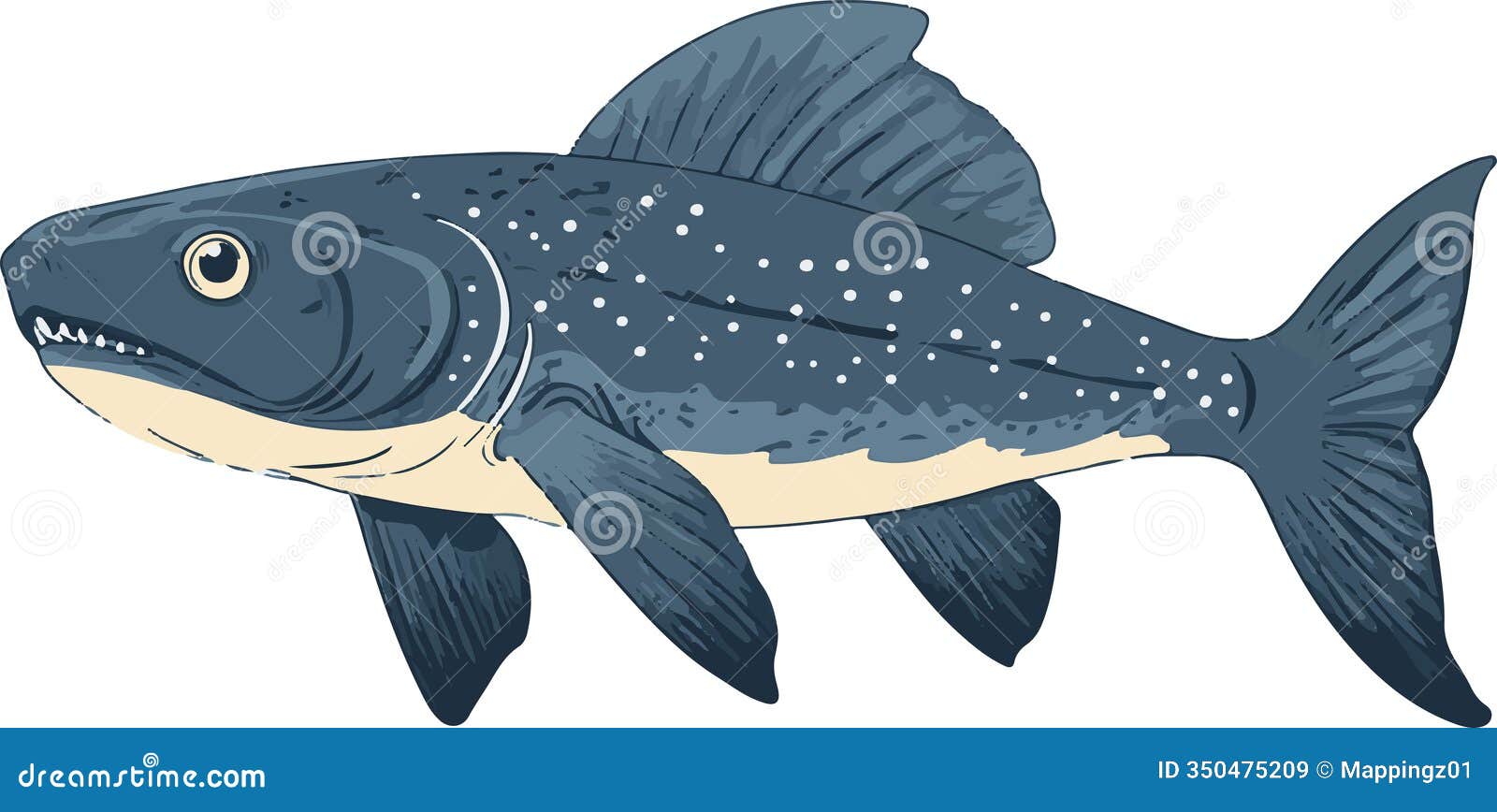 3D Cartoon Coelacanth Swimming And Smiling, Isolated On White ...