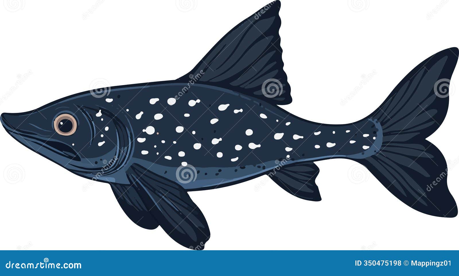 Simple Vector Coelacanth Clipart Stock Vector - Illustration of ...
