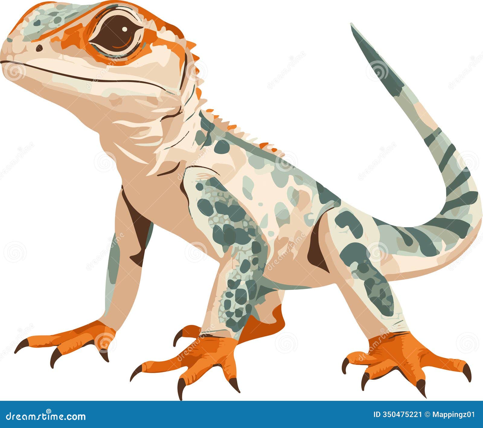 Simple Vector Collared Lizard Clipart Stock Vector - Illustration of ...