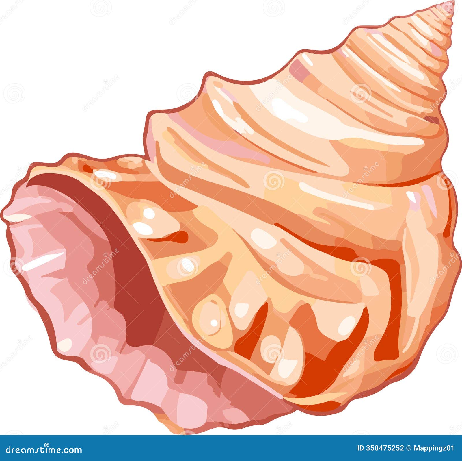 Simple Vector Conch Clipart Stock Vector - Illustration of minimalist ...