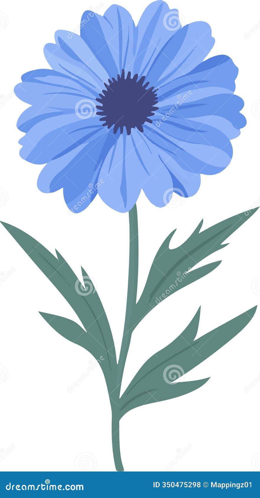Simple Vector Cornflower Clipart Stock Vector - Illustration of ...