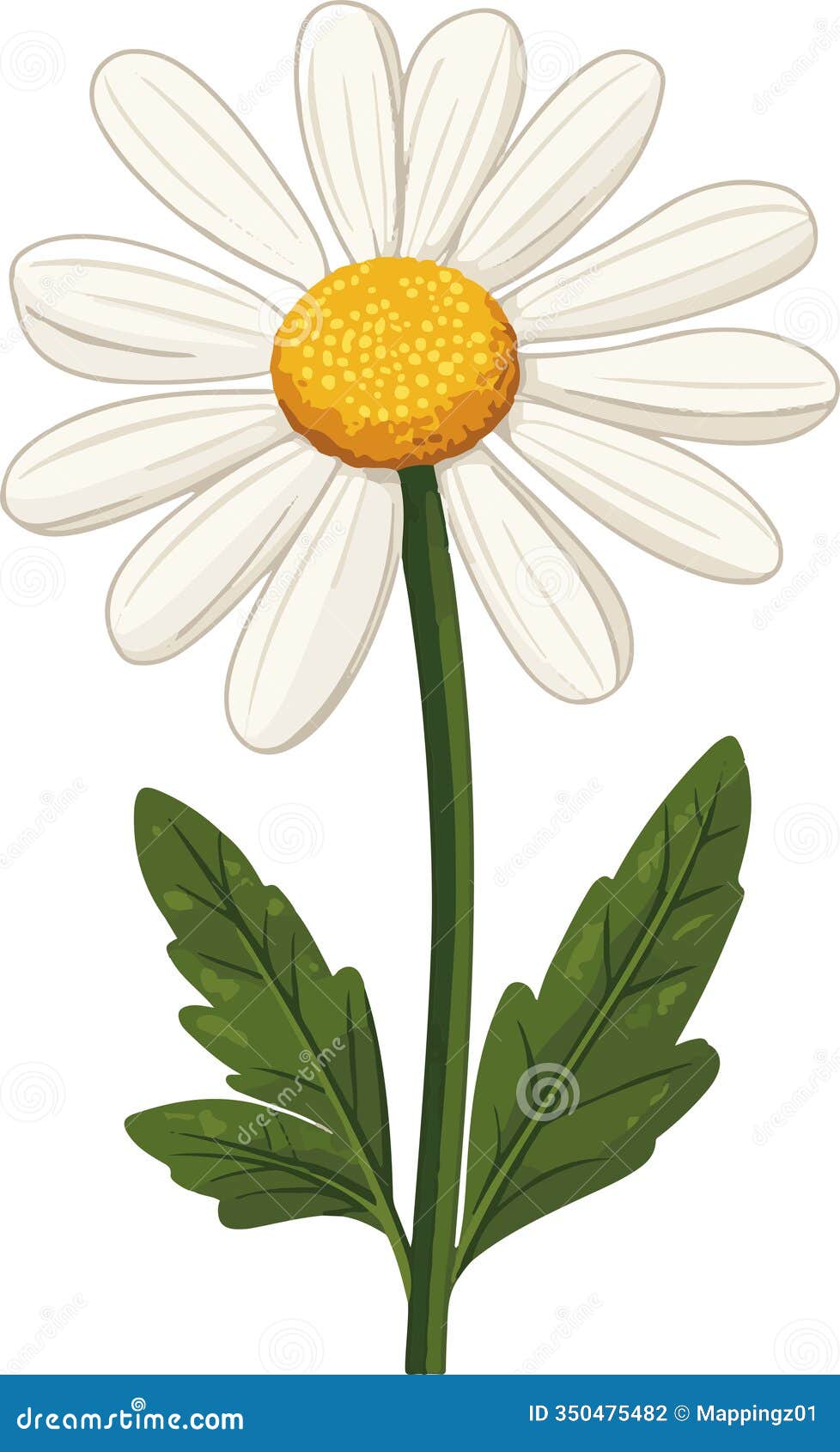 Simple Vector Daisy Clipart Stock Vector - Illustration of abstract ...