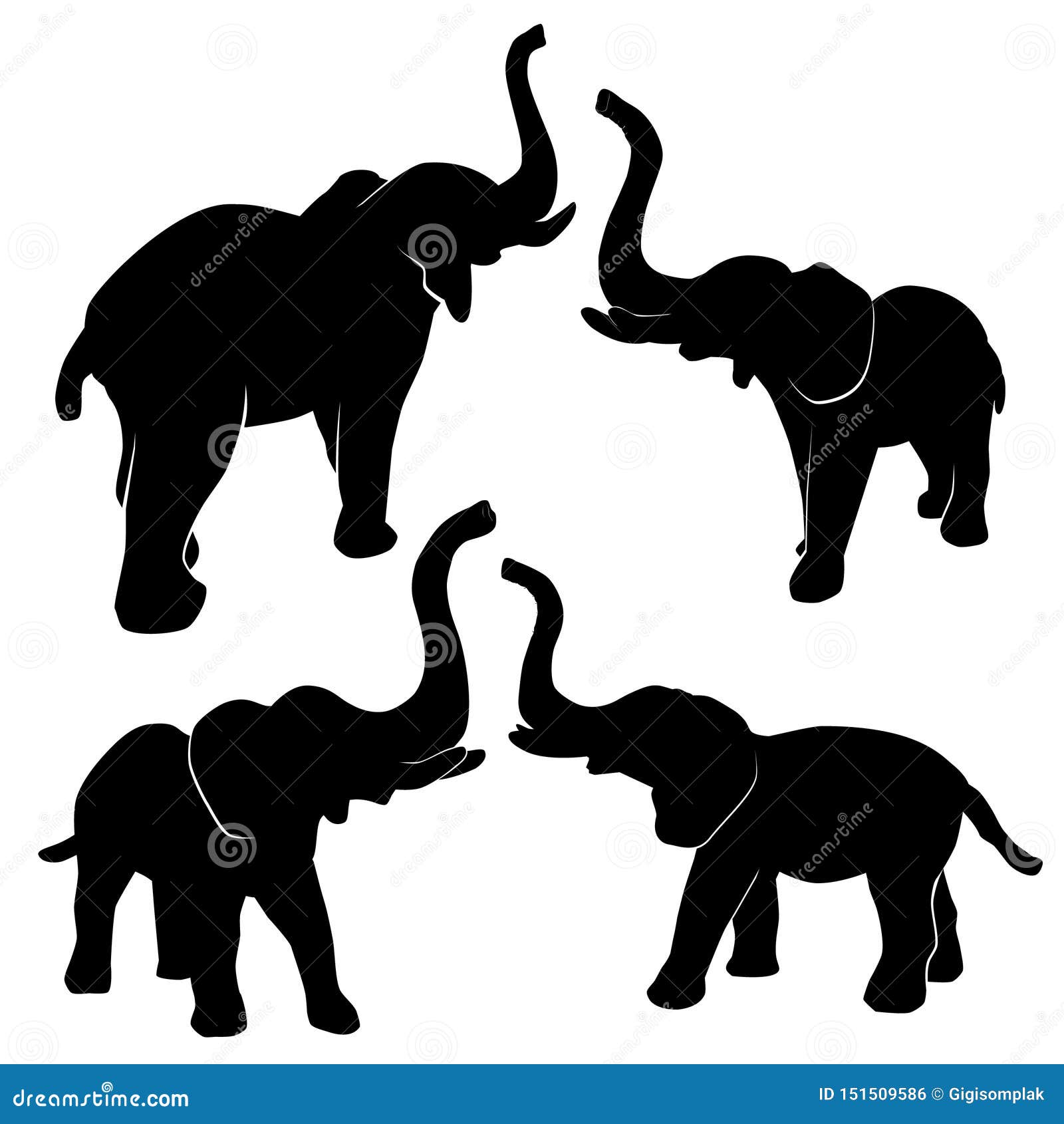 Simple Vector, 4 Different Perspective, Silhouette of Elephant ...