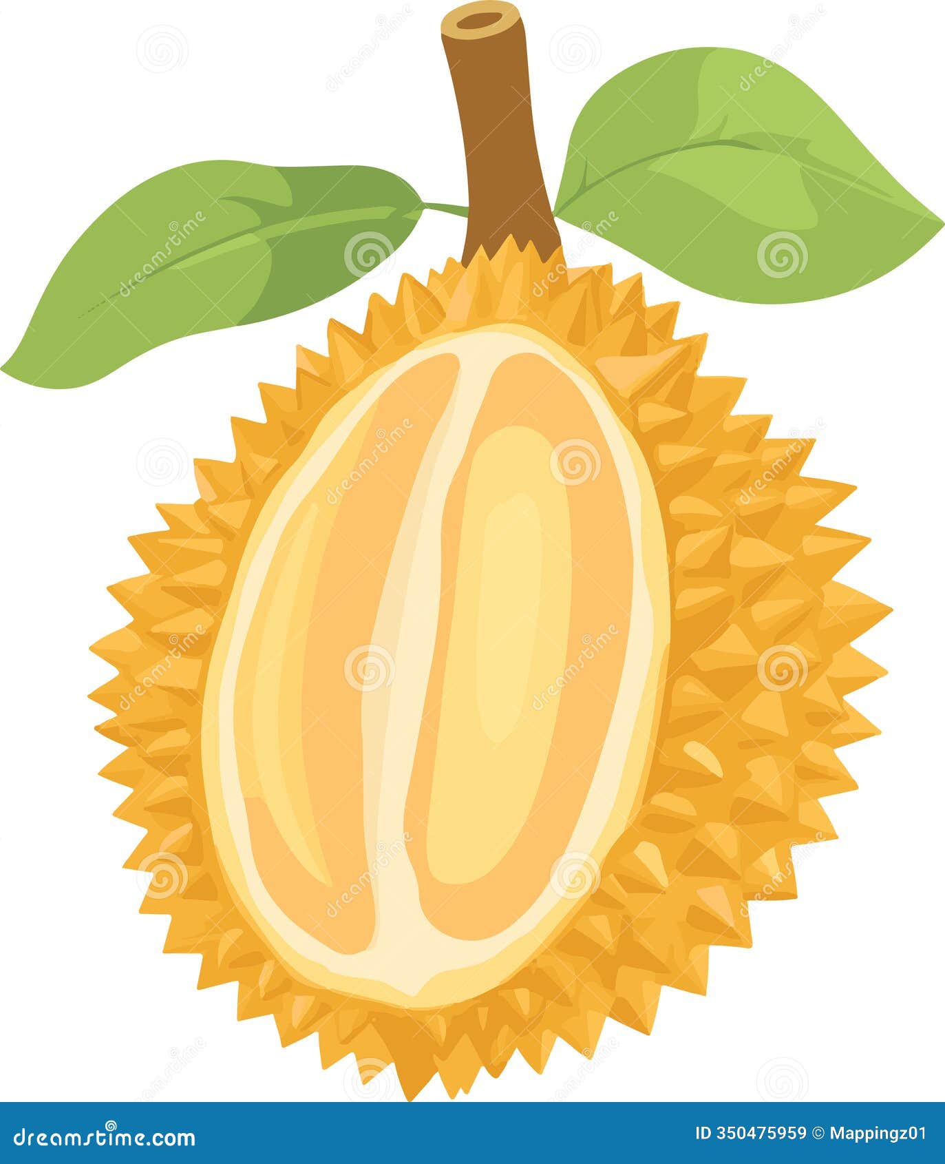 Simple Vector Durian Clipart Stock Vector - Illustration of transparent ...