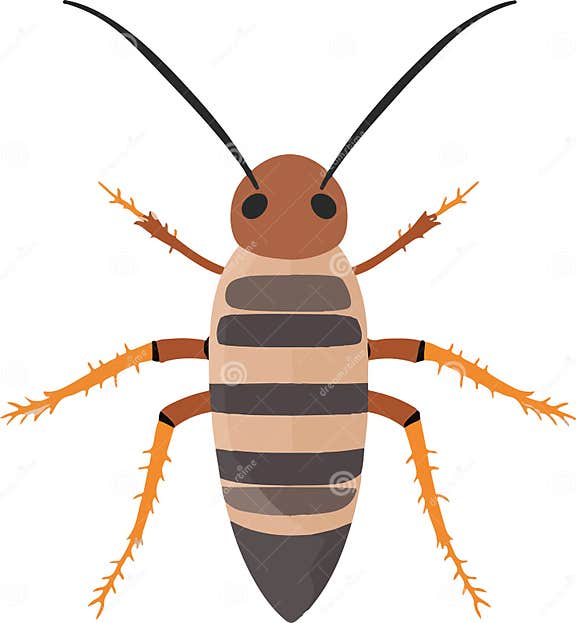 Simple Vector Earwig Clipart Stock Vector - Illustration of earwig ...