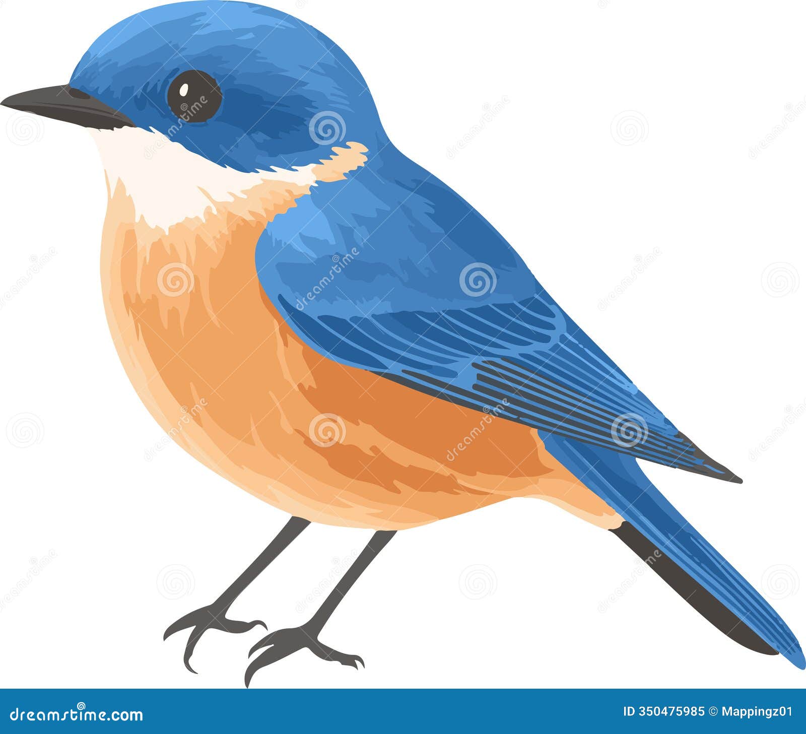 Simple Vector Eastern Bluebird Clipart Stock Vector - Illustration of ...