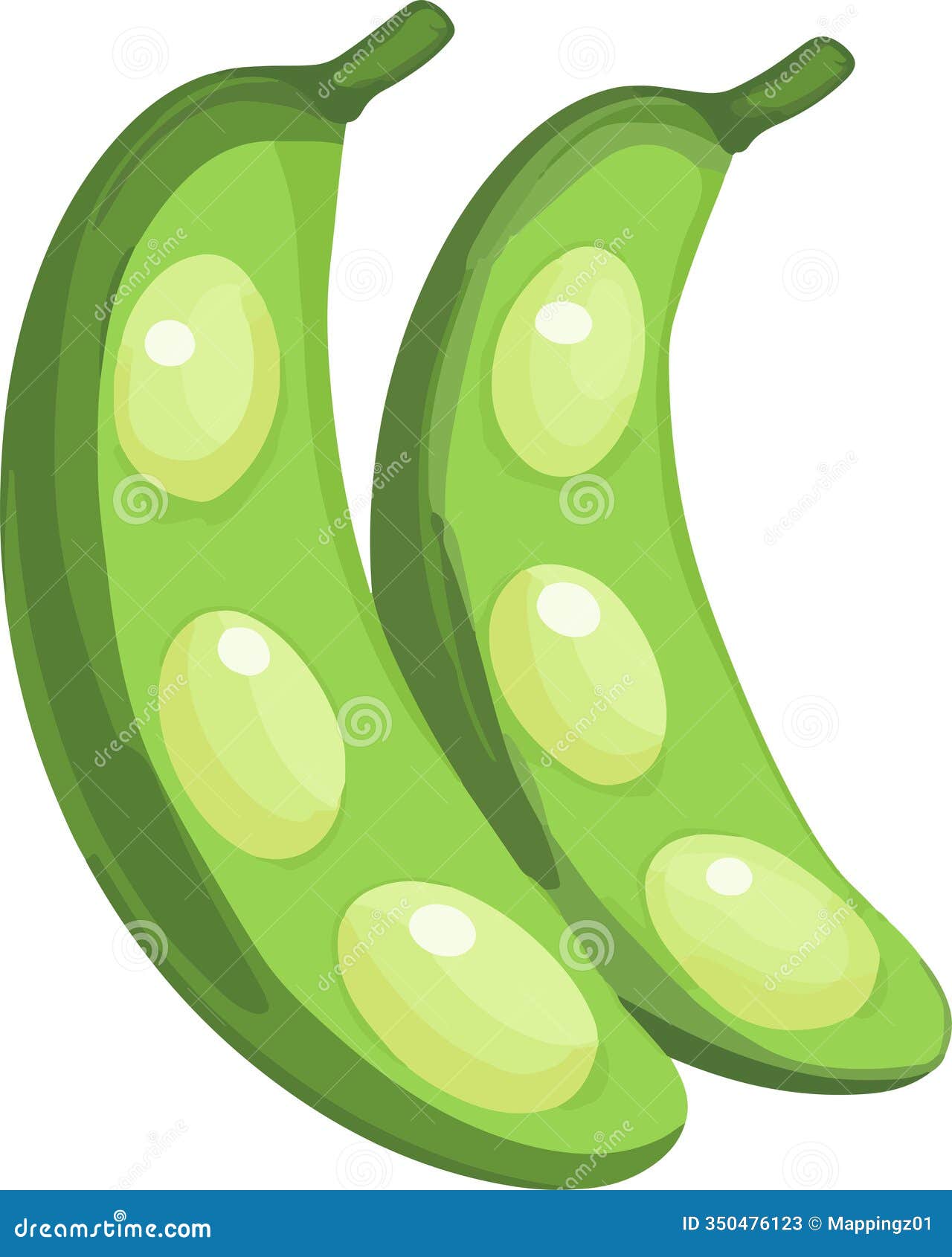 Fava Bean. Broad Bean Vector Illustration | CartoonDealer.com #270395452