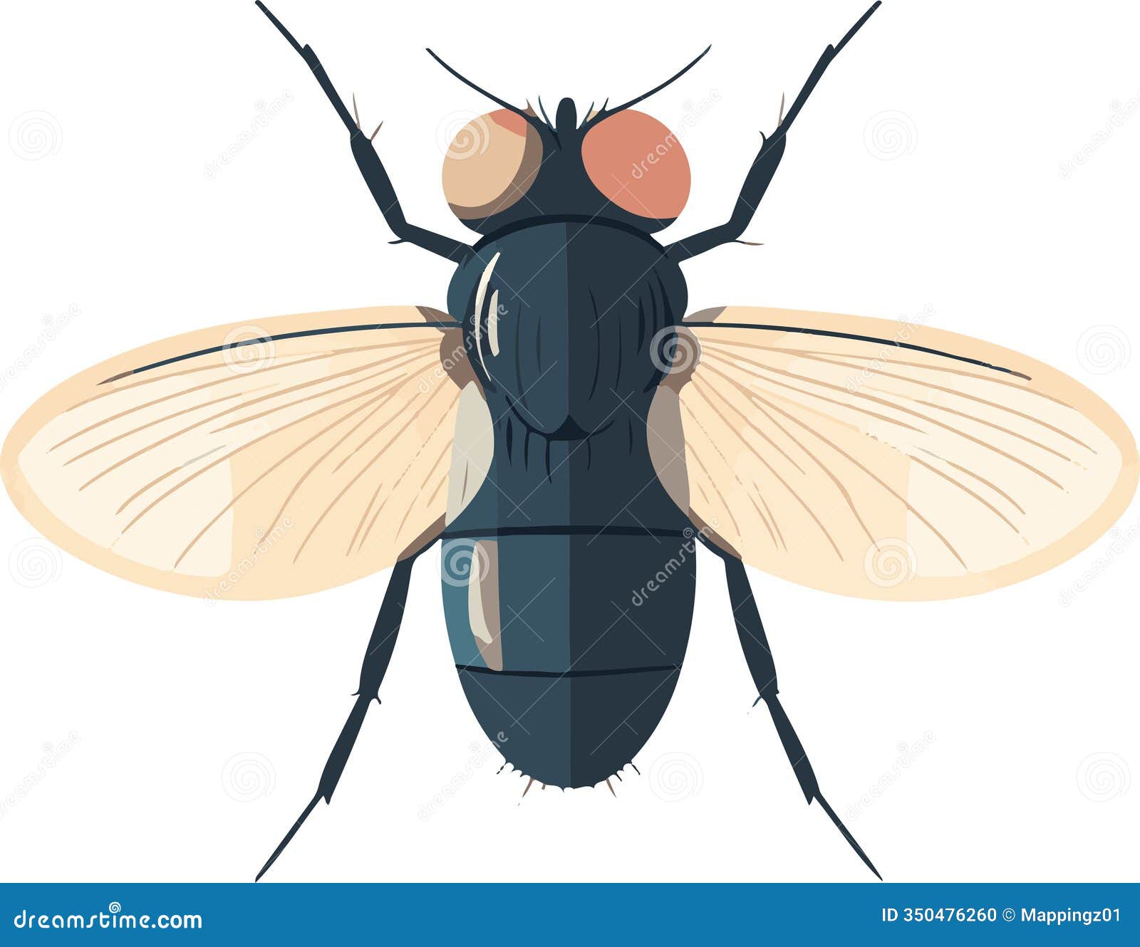 Simple vector fly clipart stock vector. Illustration of digital - 350476260