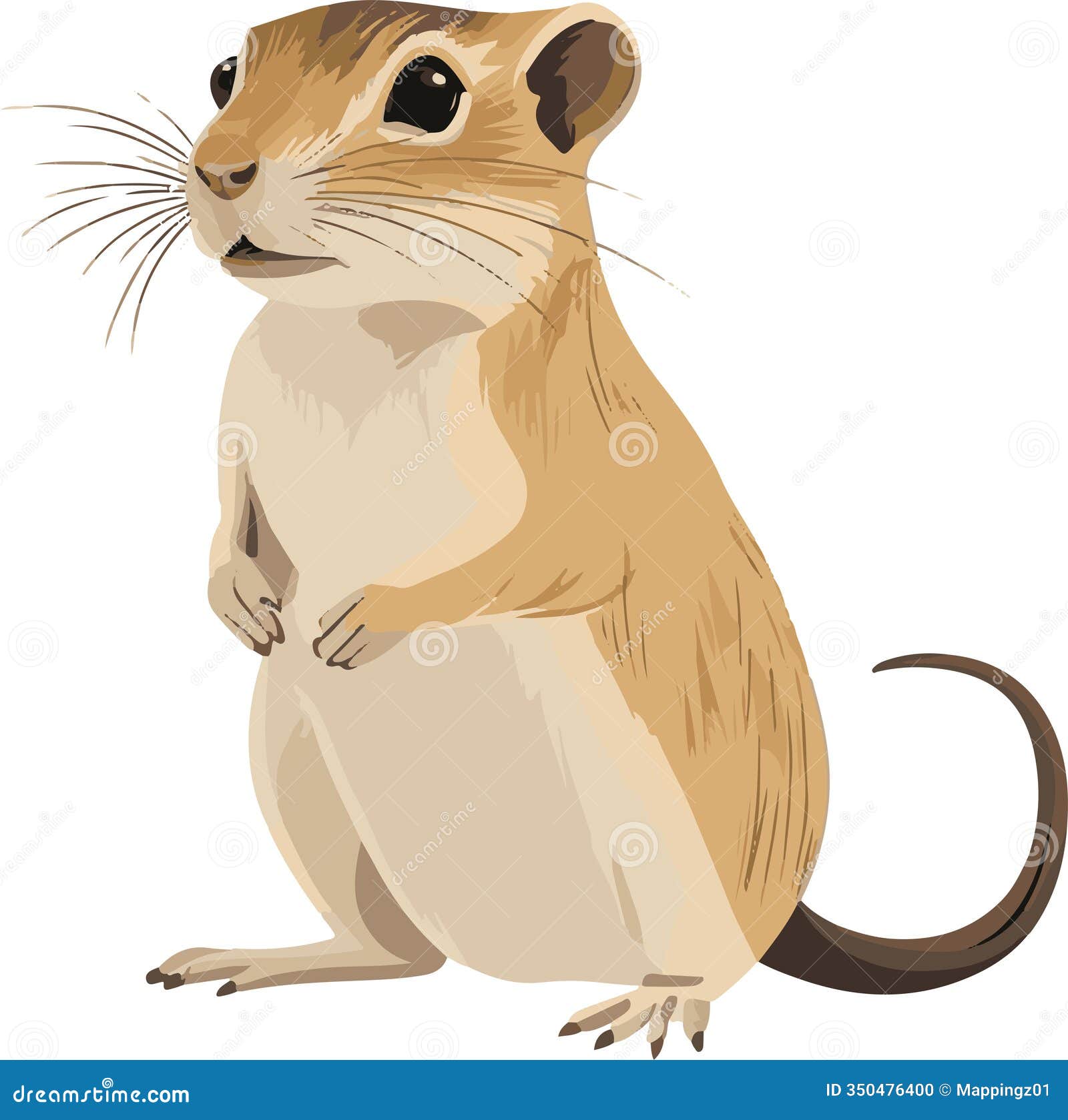 Minimalist Gerbil Drawing: Simple Strokes And Minimalist Style Royalty ...