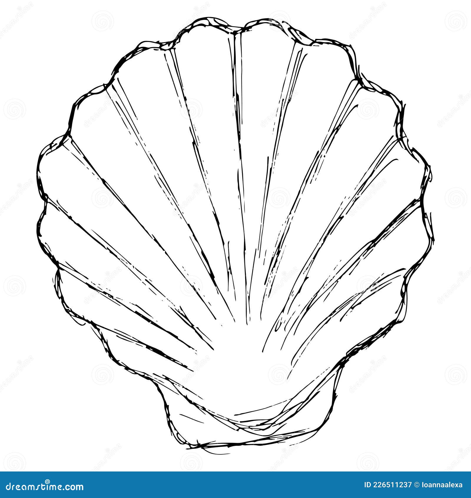 Simple Vector Grunge Linear Shell Illustration Stock Vector ...