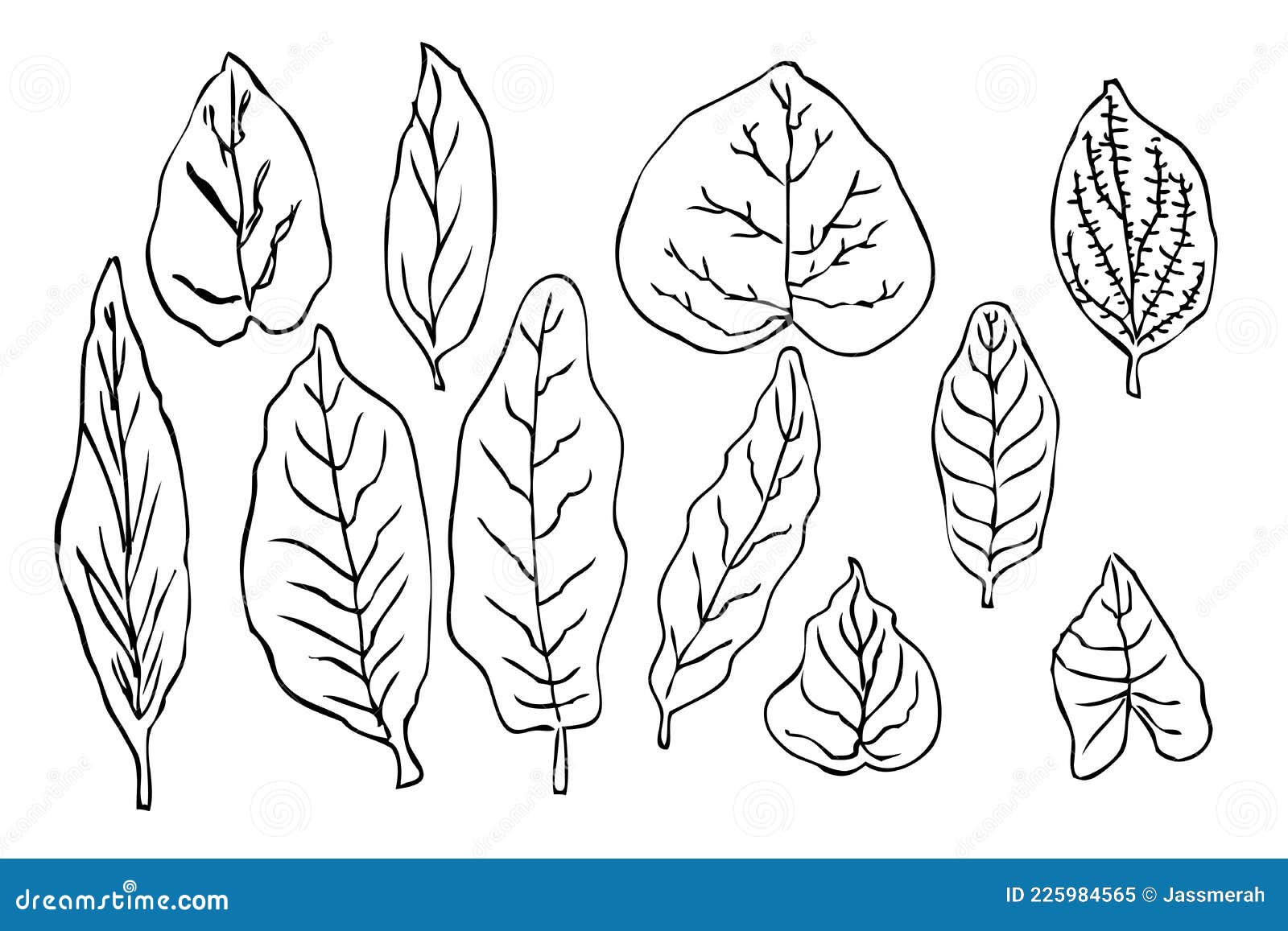 Simple Vector Hand Draw Sketch, 11 Diferent Shape Leaf Stock Vector ...