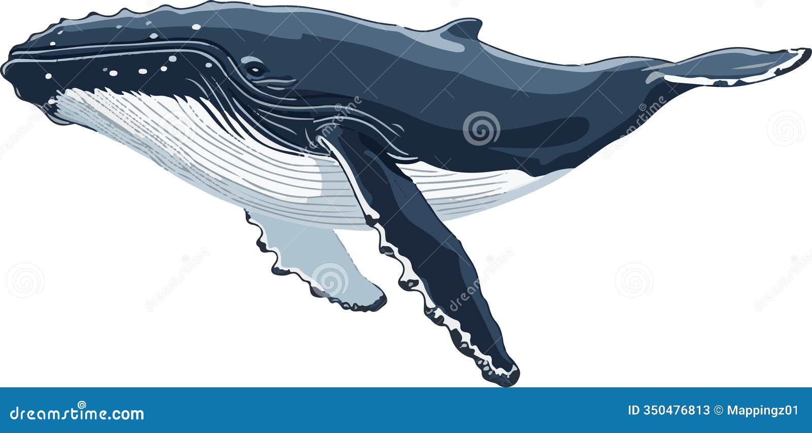 Simple Vector Humpback Whale Clipart Stock Vector - Illustration of ...