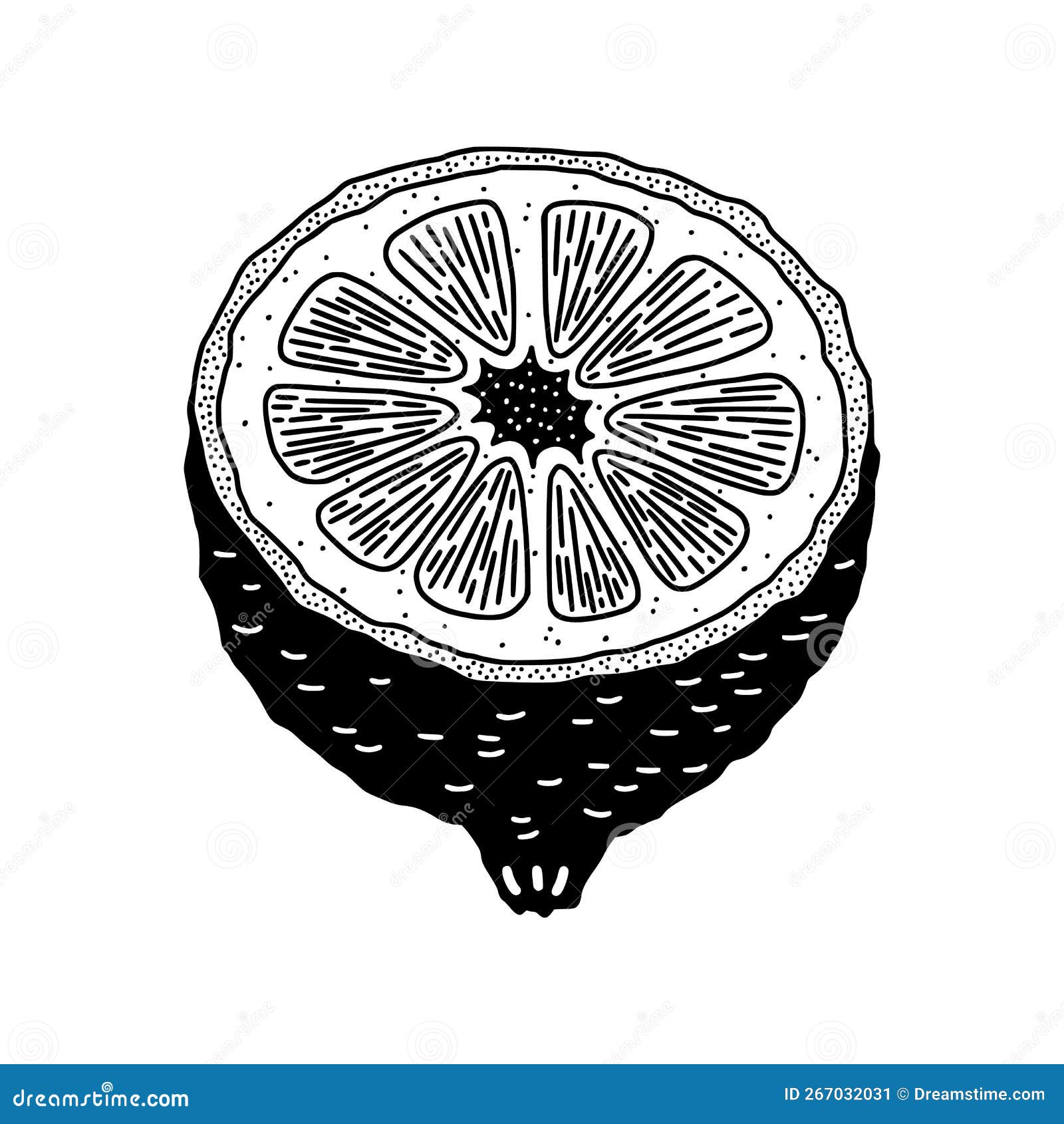 Simple Vector Image of Cut Lemon Stock Vector - Illustration of fresh ...