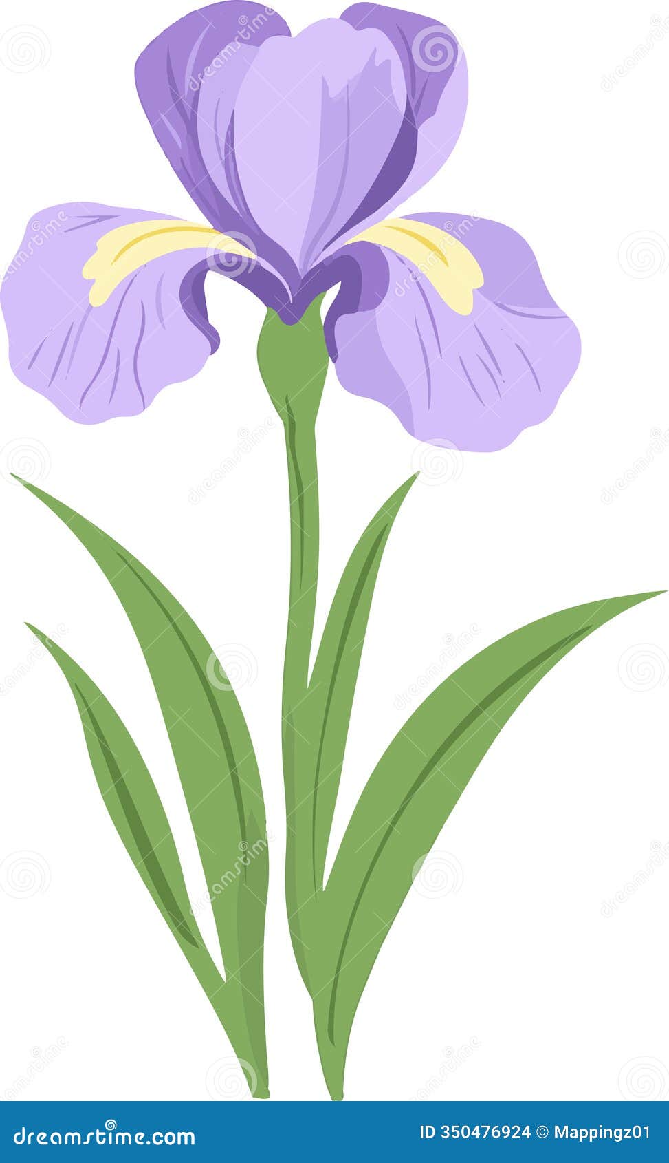 Simple vector iris clipart stock vector. Illustration of iris - 350476924