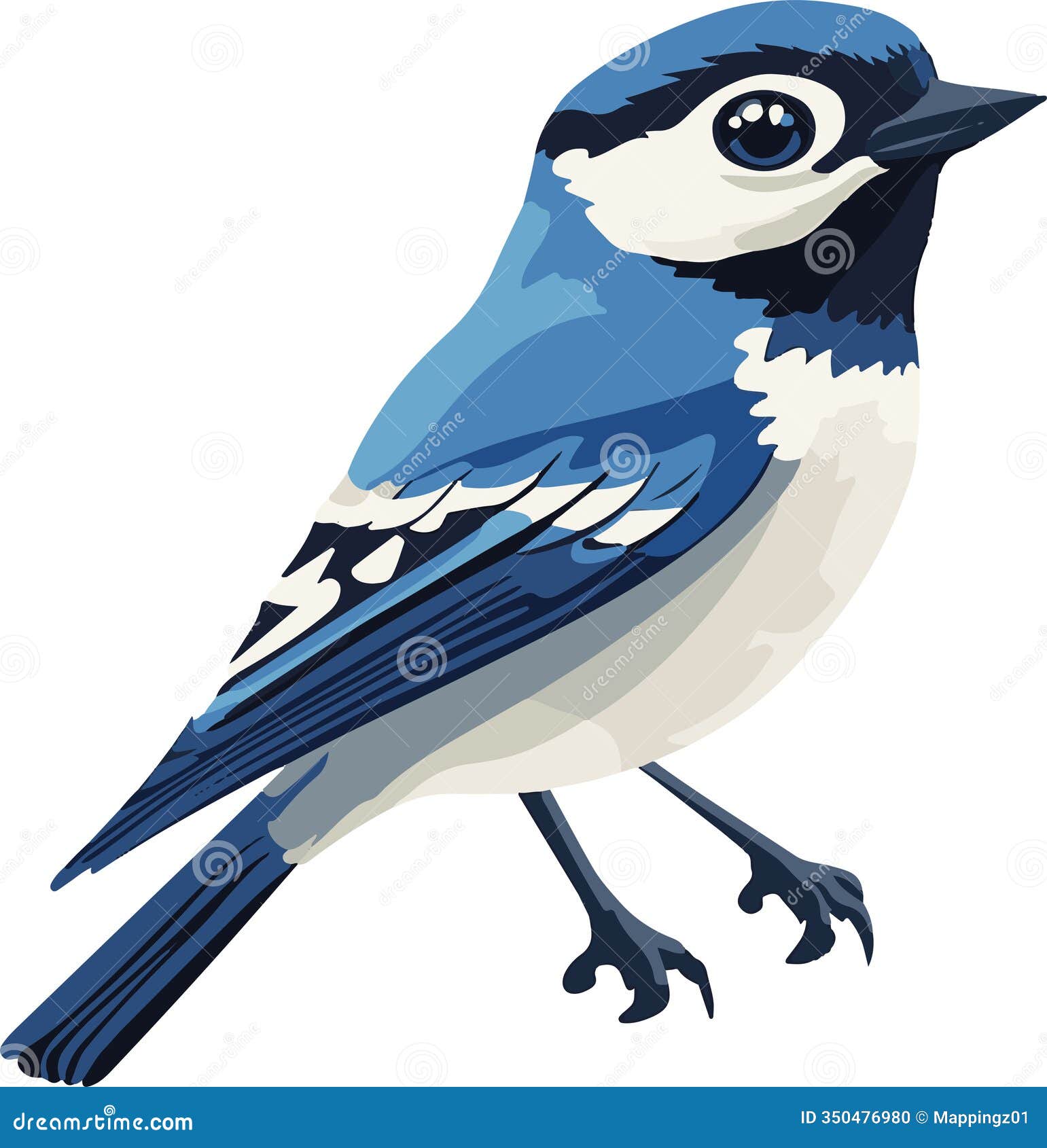 Simple vector jay clipart stock vector. Illustration of graphic - 350476980