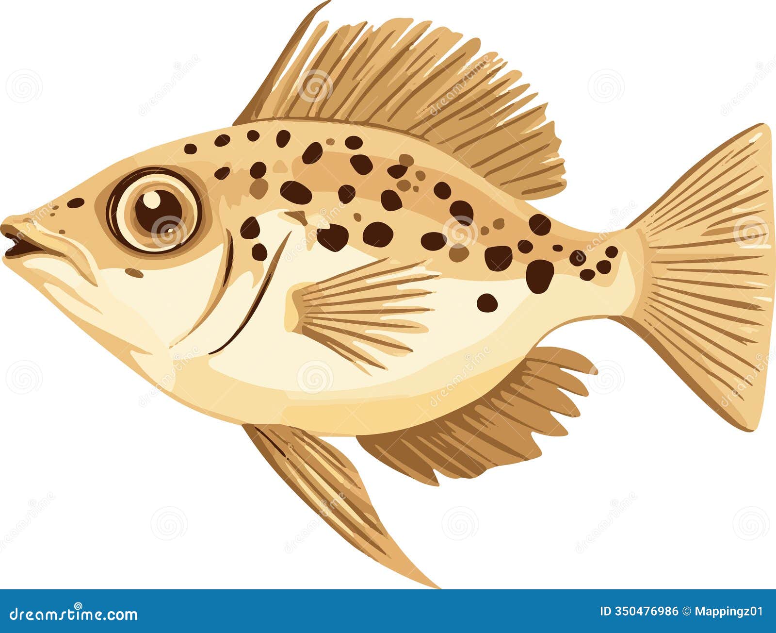 John Dory Outline Silhouette Generative Ai Cartoon Vector ...