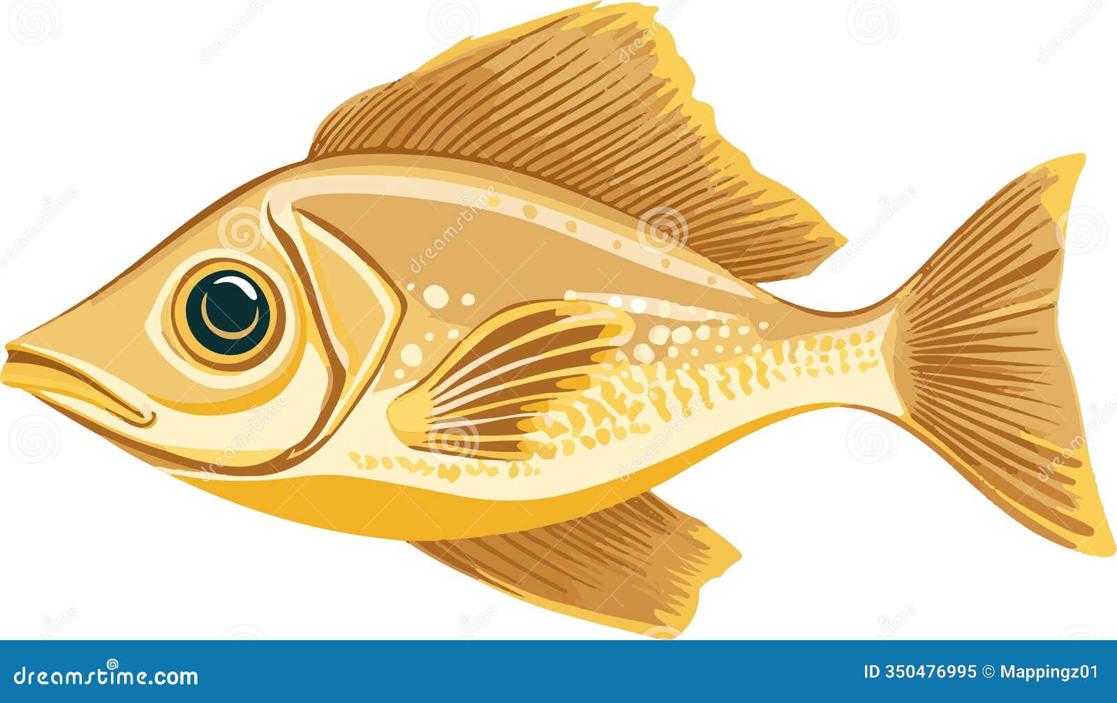 John Dory Outline Silhouette Generative Ai Cartoon Vector ...