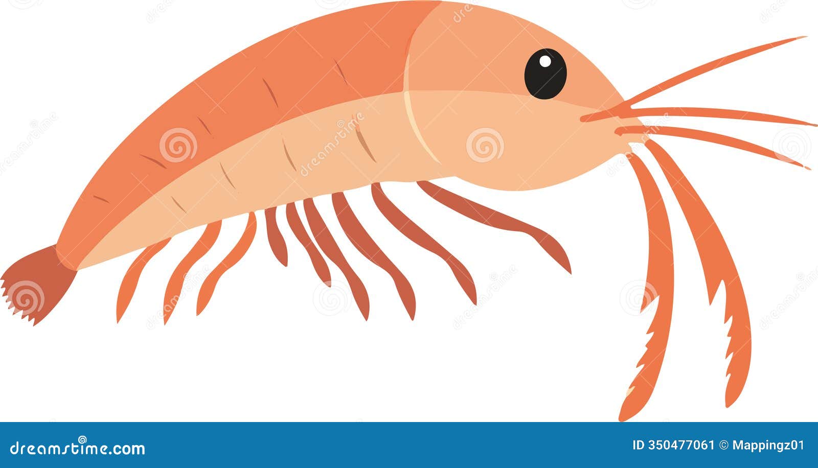 Simple Vector Krill Clipart Ilustración del Vector - Ilustración de ...
