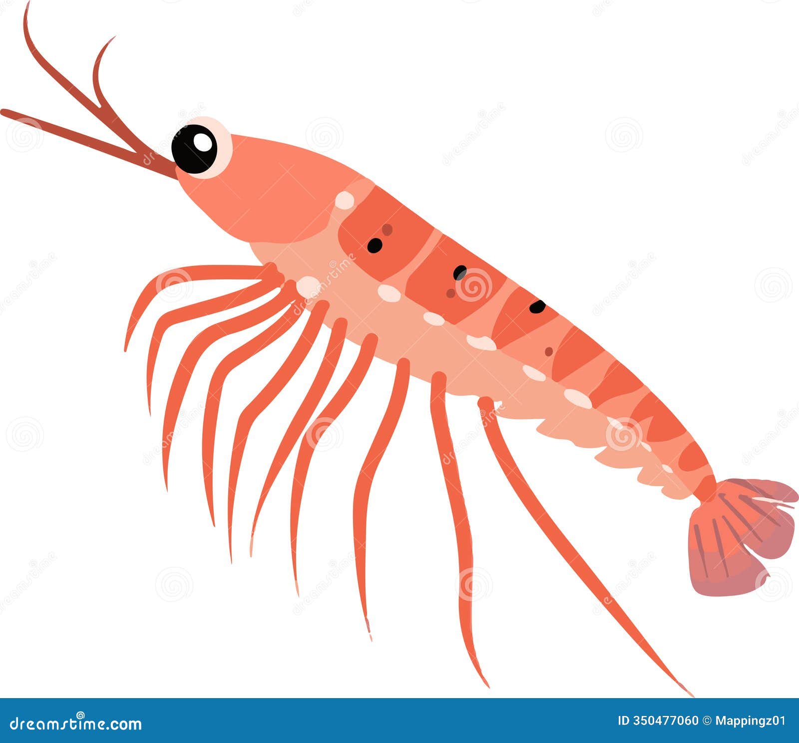 Simple Vector Krill Clipart Stock Vector - Illustration of basic ...