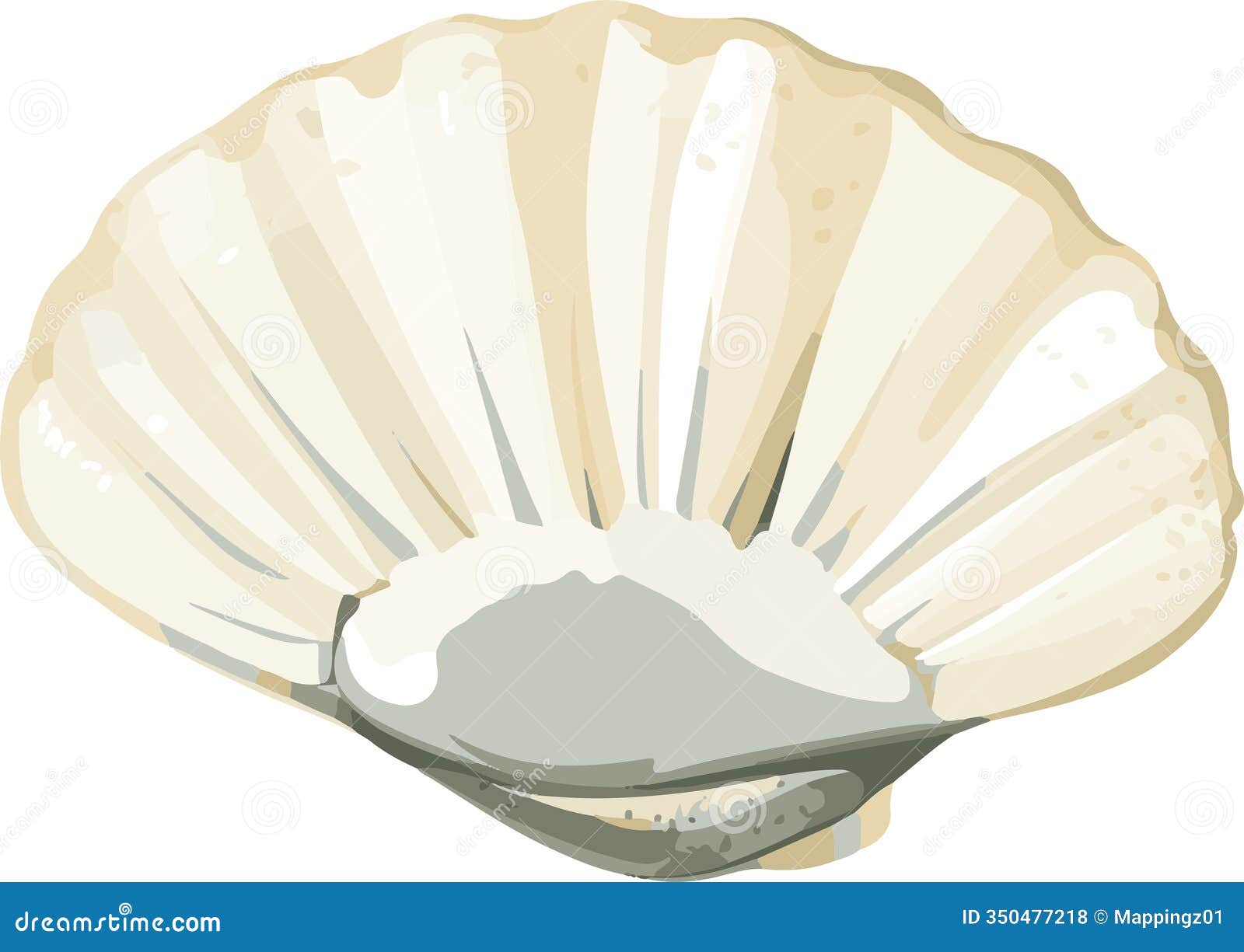 Simple Vector Limpet Clipart Stock Vector - Illustration of creative ...