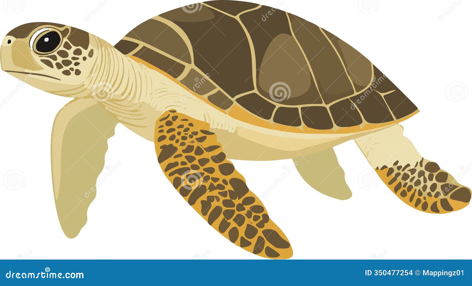 Loggerhead Sea Turtle In Dry Tortugas National Park In Florida WPA ...