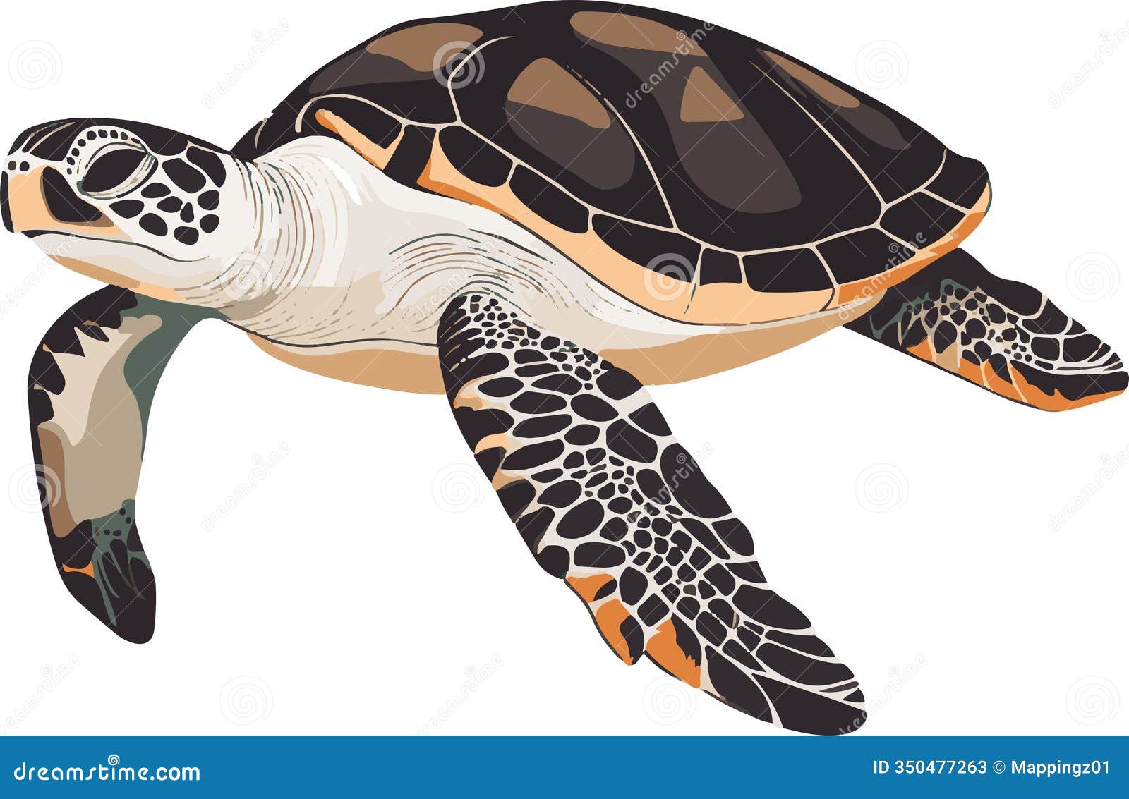 Simple Vector Loggerhead Turtle Clipart Stock Vector - Illustration of ...