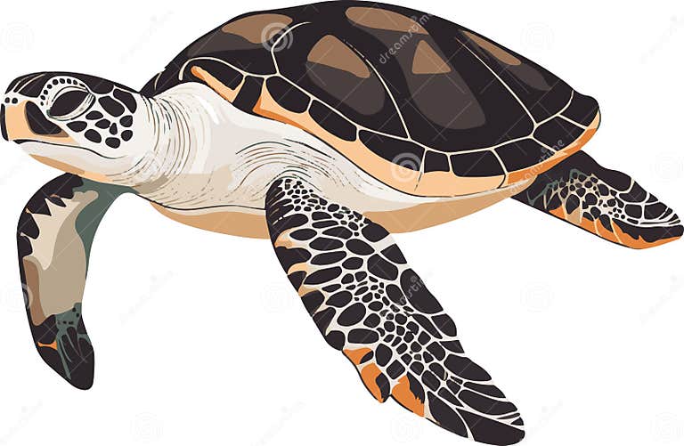Simple Vector Loggerhead Turtle Clipart Stock Vector - Illustration of ...