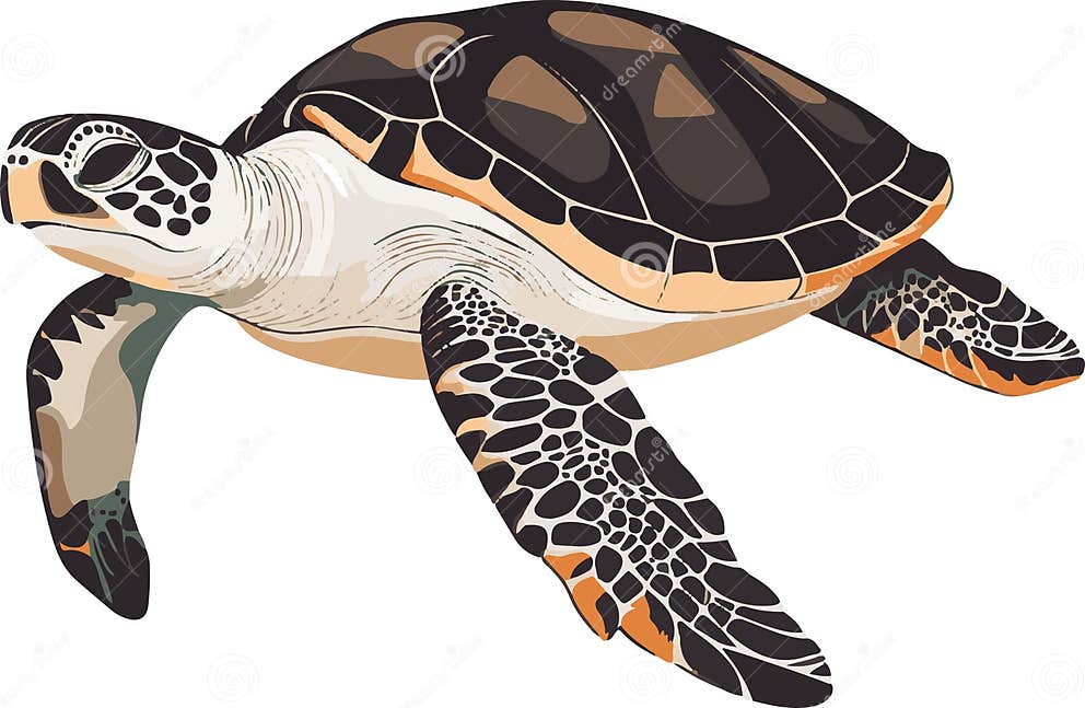 Simple Vector Loggerhead Turtle Clipart Stock Vector - Illustration of ...