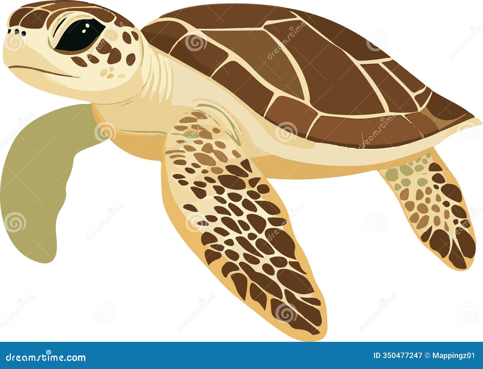 Simple Vector Loggerhead Turtle Clipart Stock Vector - Illustration of ...