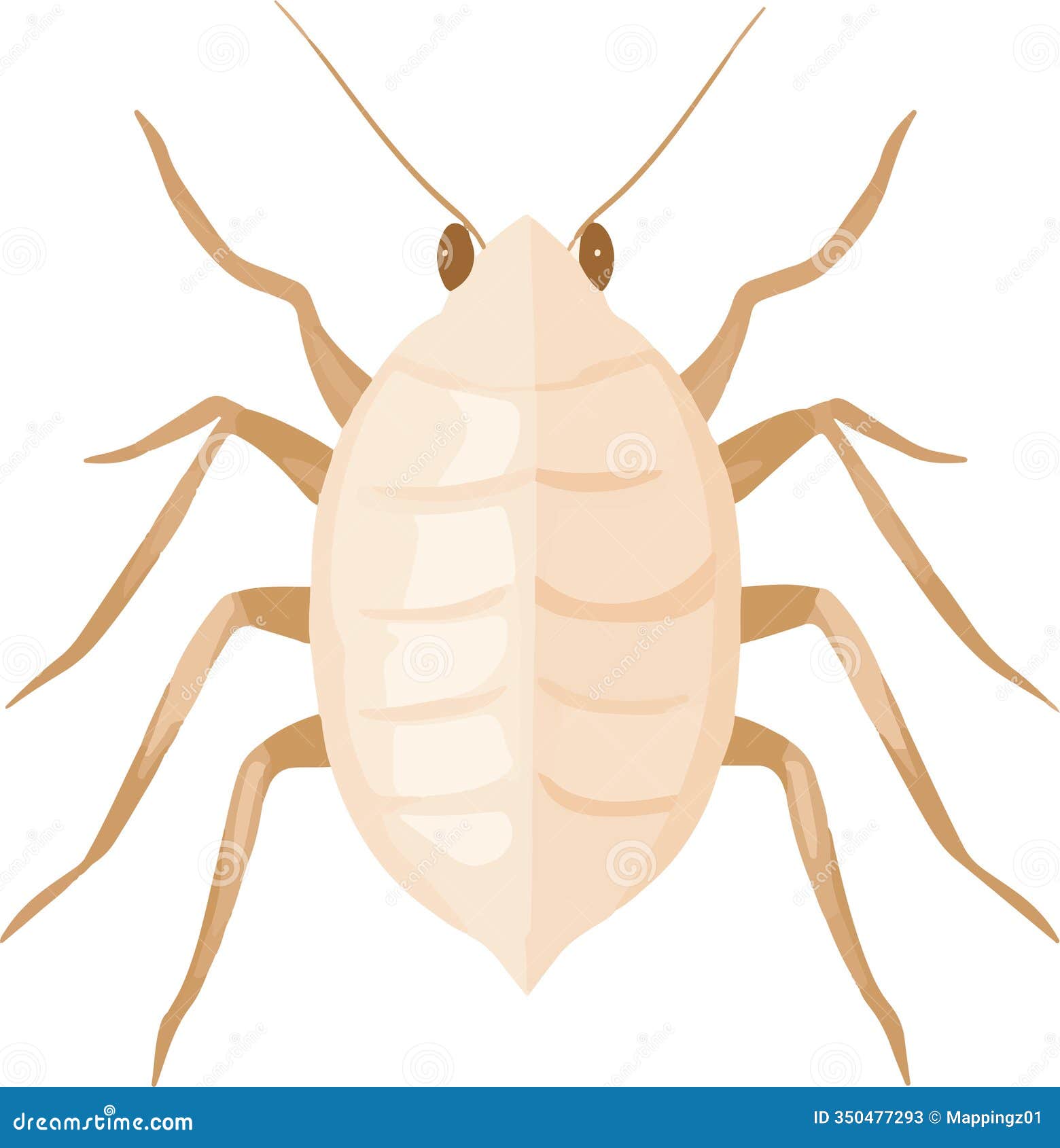 Simple Vector Louse Clipart Stock Vector - Illustration of transparent ...