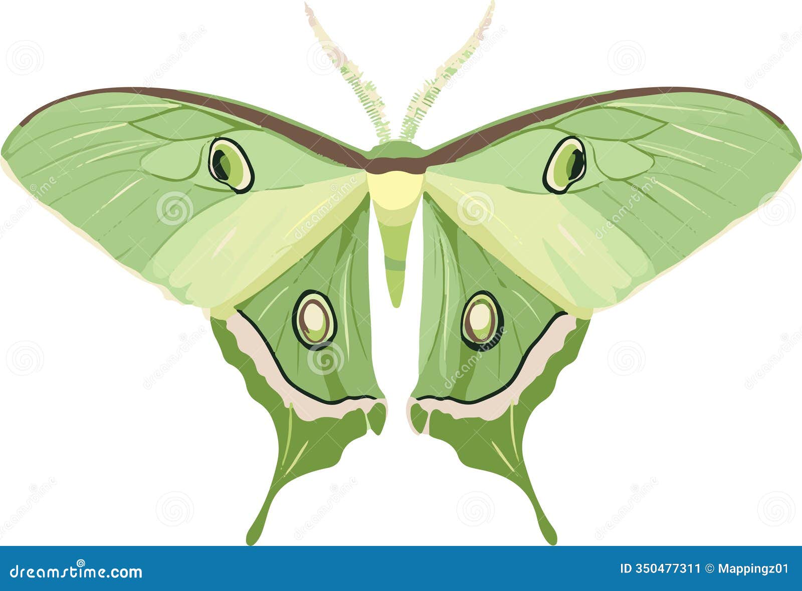 Simple Vector Luna Moth Clipart Ilustración del Vector - Ilustración de ...