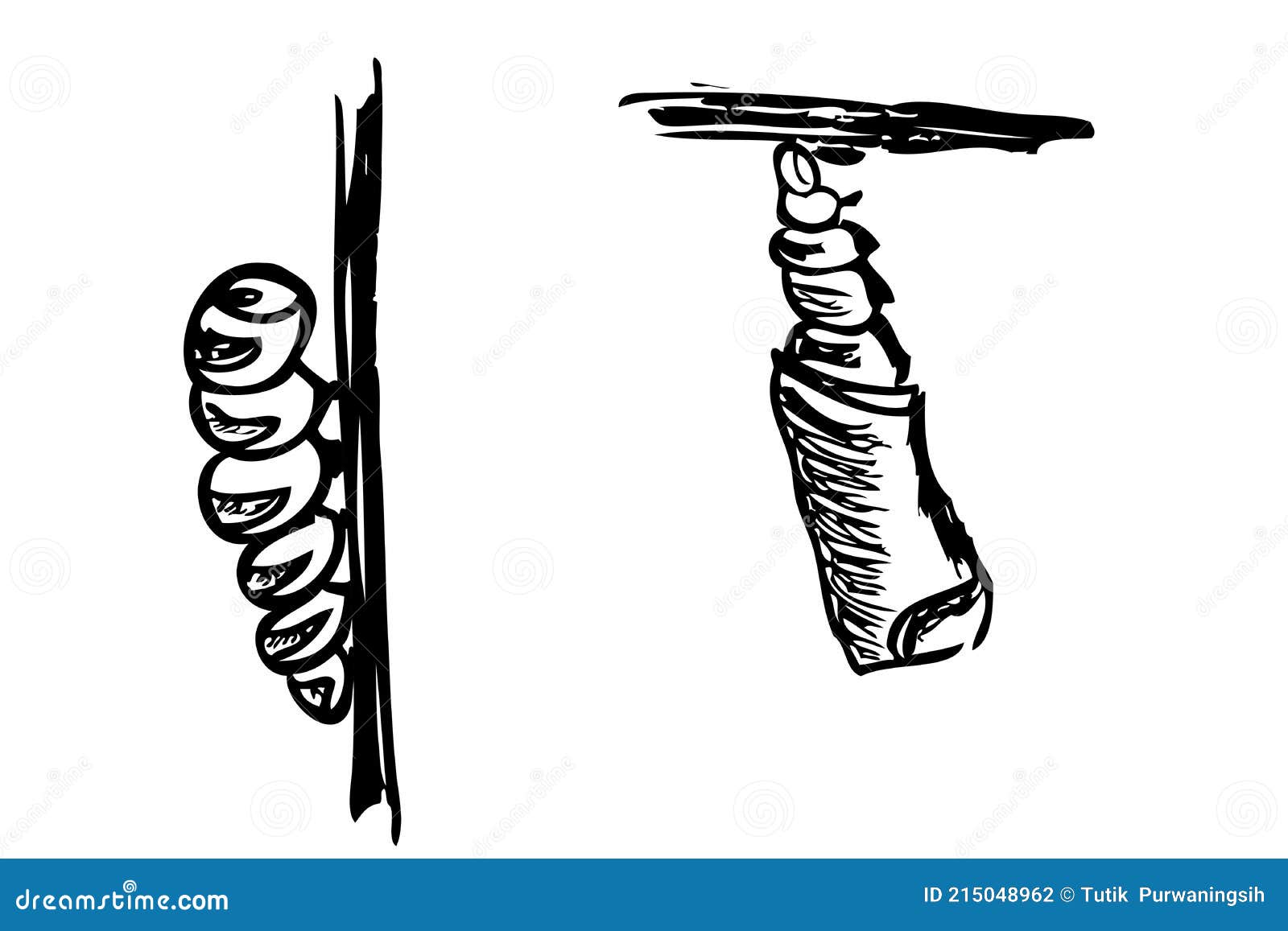 Cocoon In Hand Draw, Engraving, Luxury Style Vector Illustration ...