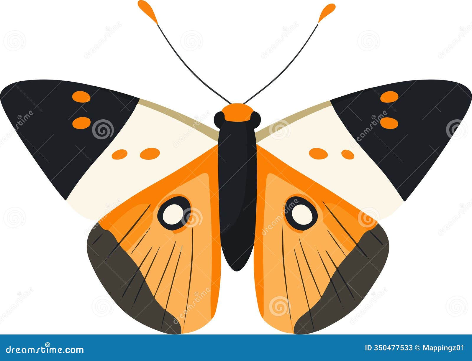 Simple vector moth clipart stock vector. Illustration of style - 350477533