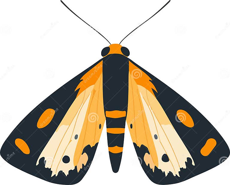 Simple vector moth clipart stock vector. Illustration of vector - 350477536
