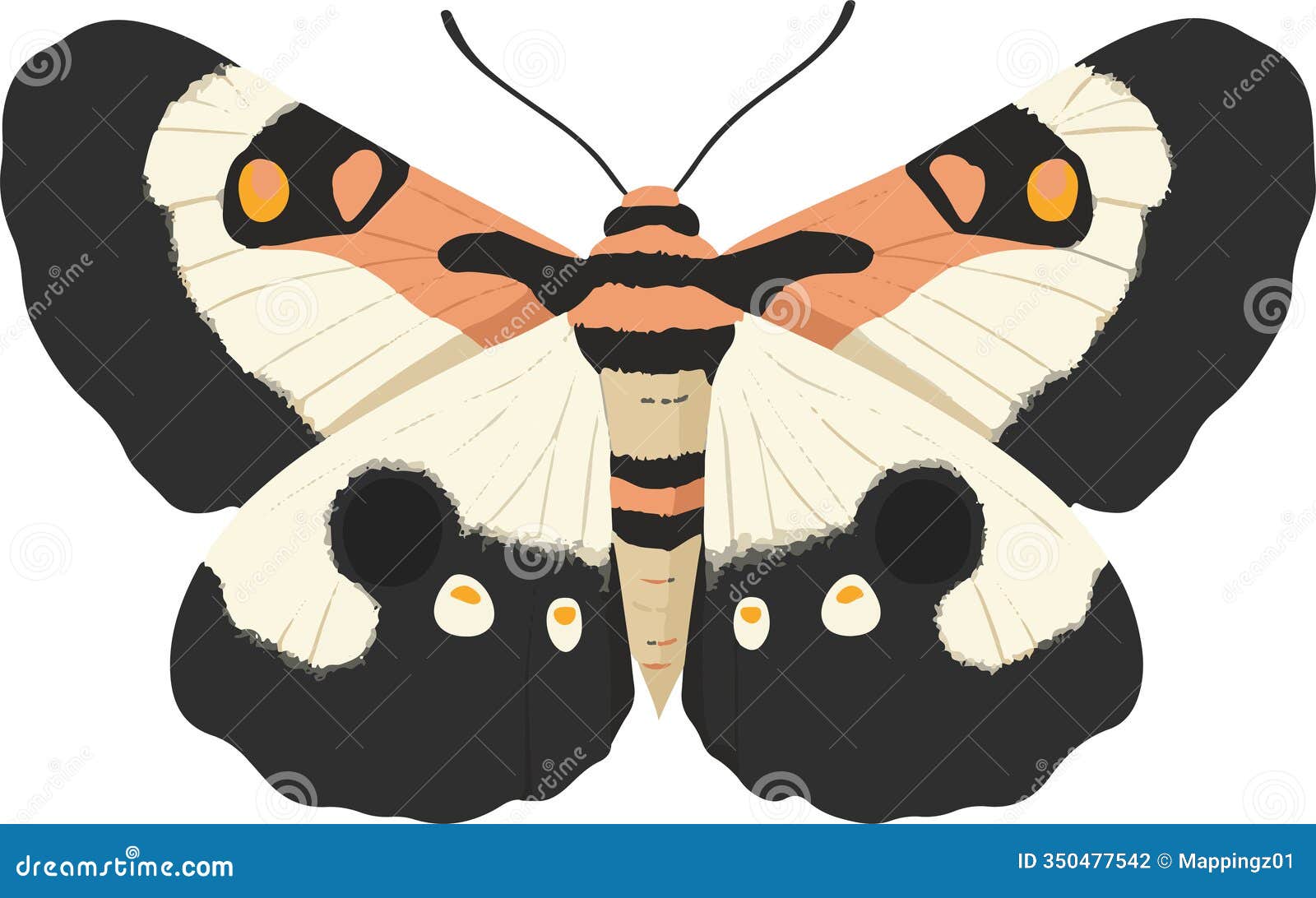 Simple vector moth clipart stock vector. Illustration of illustrations ...