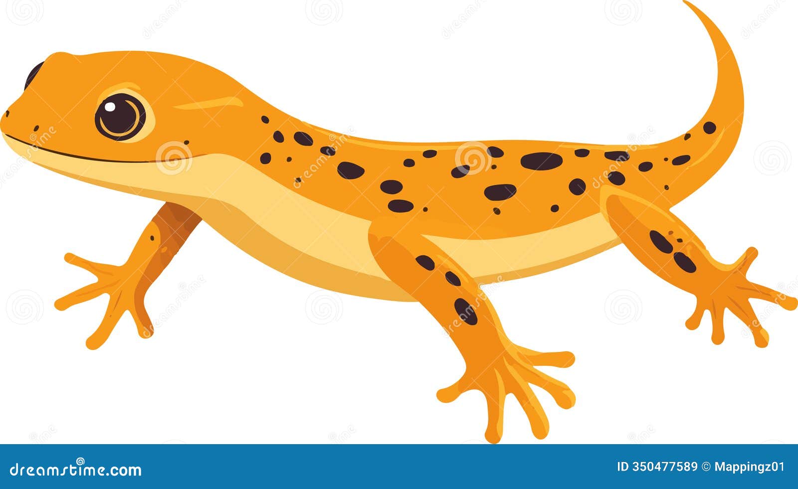 Simple vector newt clipart stock vector. Illustration of designs ...