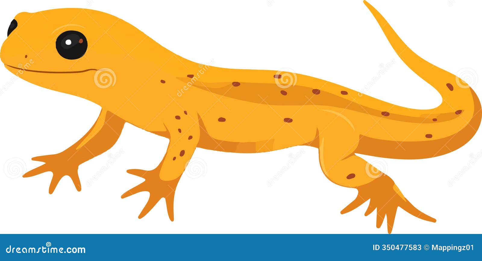 Simple vector newt clipart stock vector. Illustration of flat - 350477583
