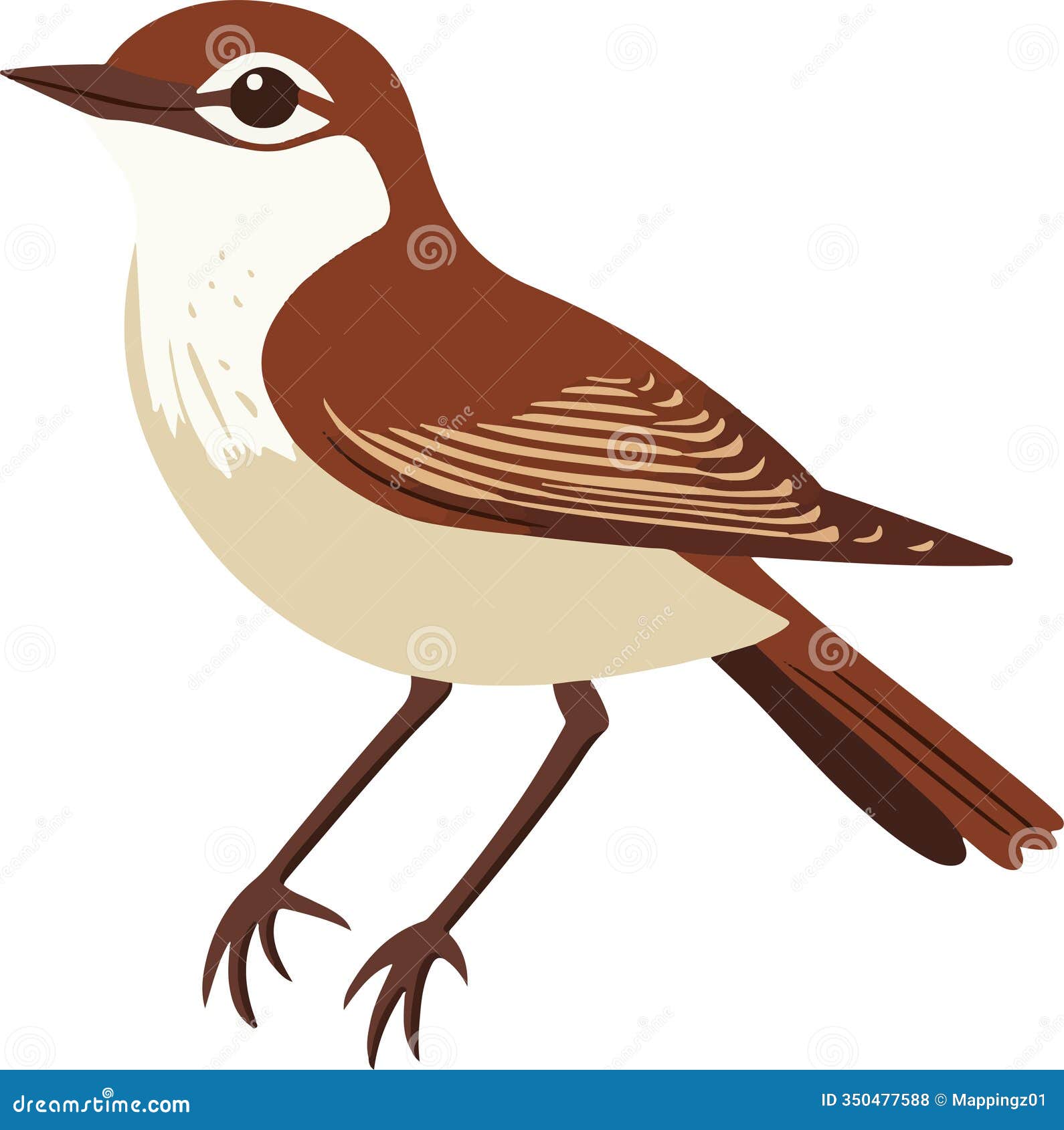 Vector Art Of Nightingale Singing On A Tree. | CartoonDealer.com #320953374