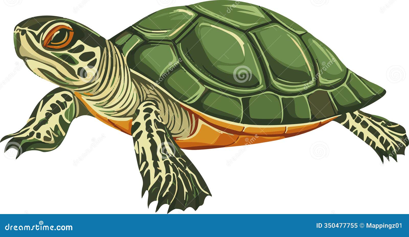 The Turtle Clipart Without Background Vector Illustration ...