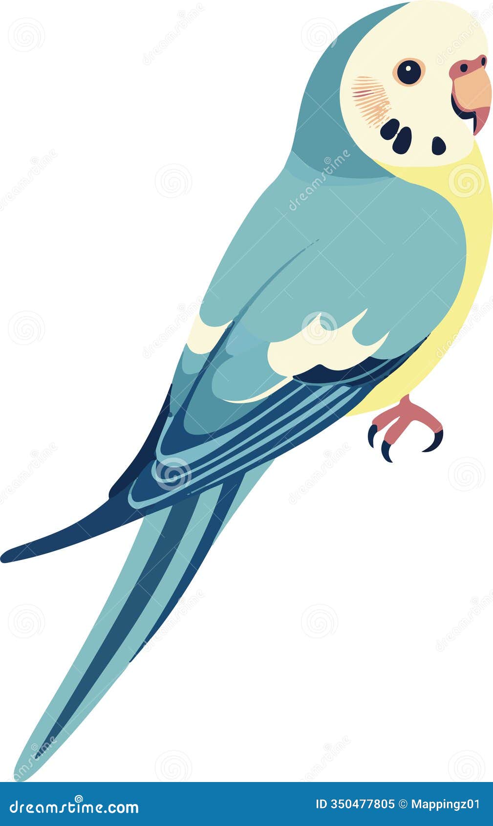 Simple Vector Parakeet Clipart Stock Vector - Illustration of creative ...
