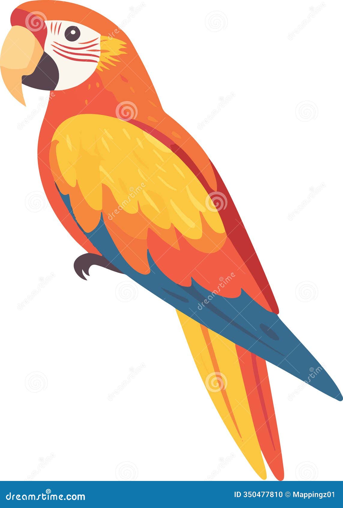 Vector Of A Parrot Macaws On White Background. | CartoonDealer.com ...