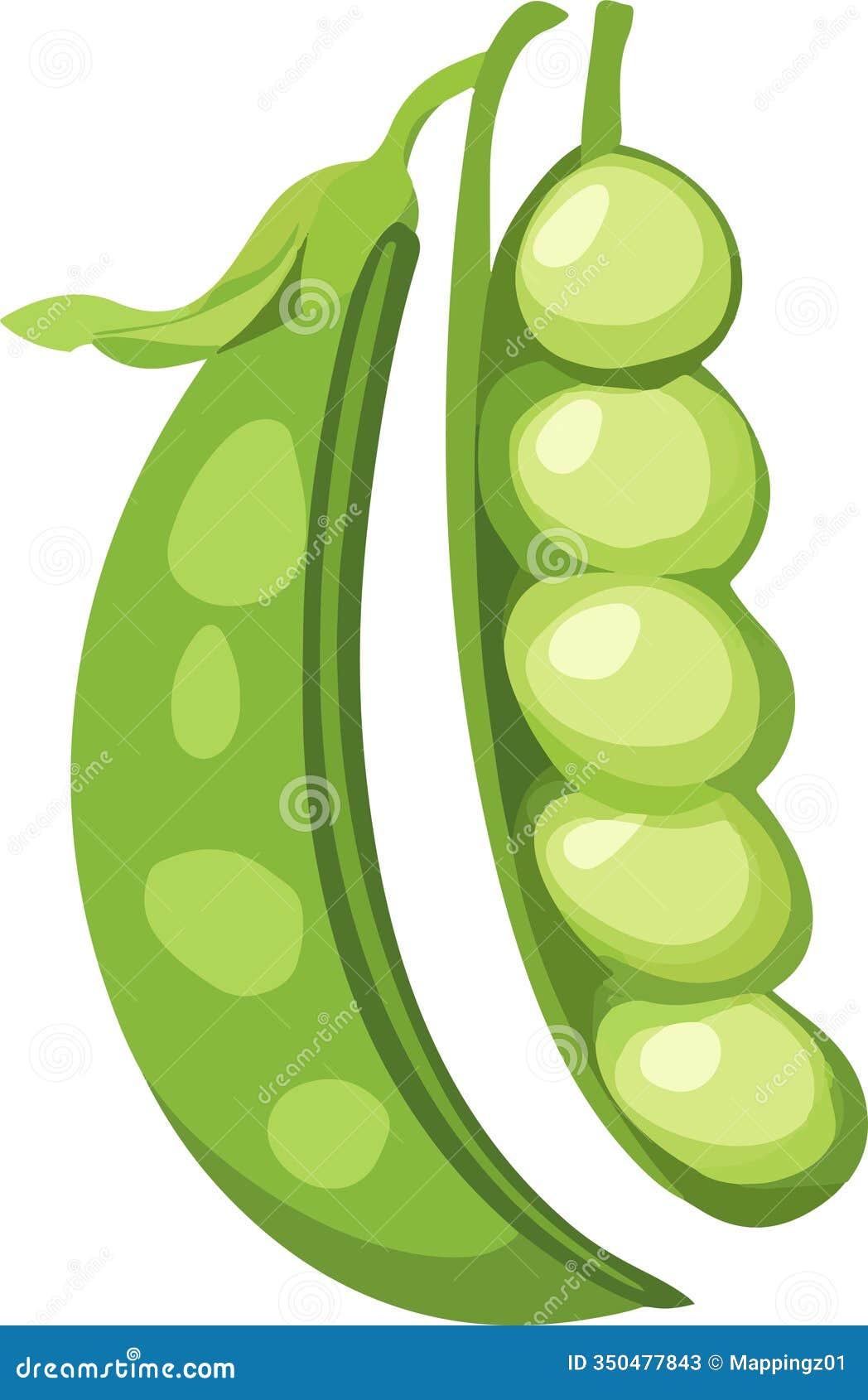 Simple vector pea clipart stock vector. Illustration of digital - 350477843