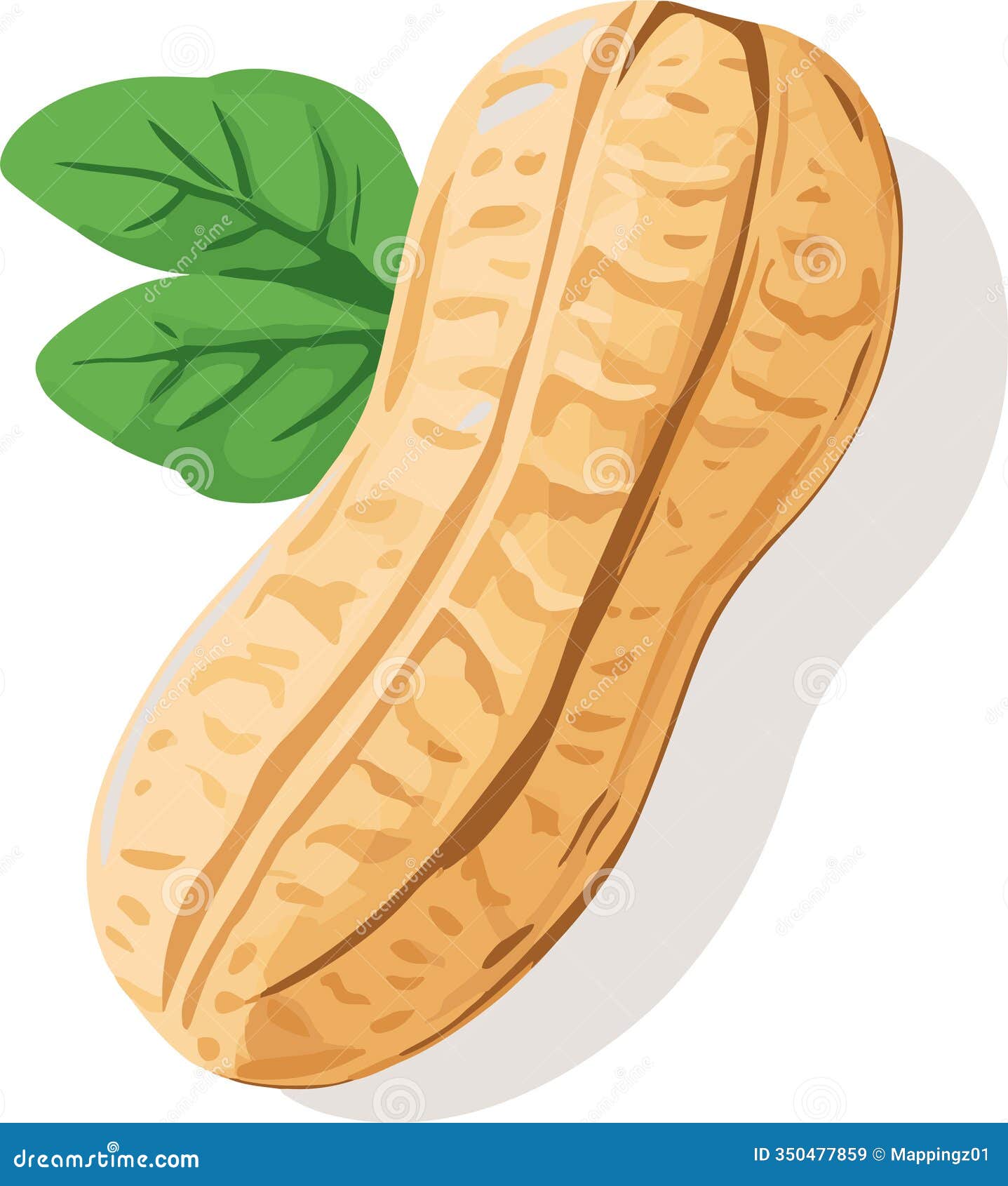 Simple Vector Peanut Clipart Stock Vector - Illustration of color ...