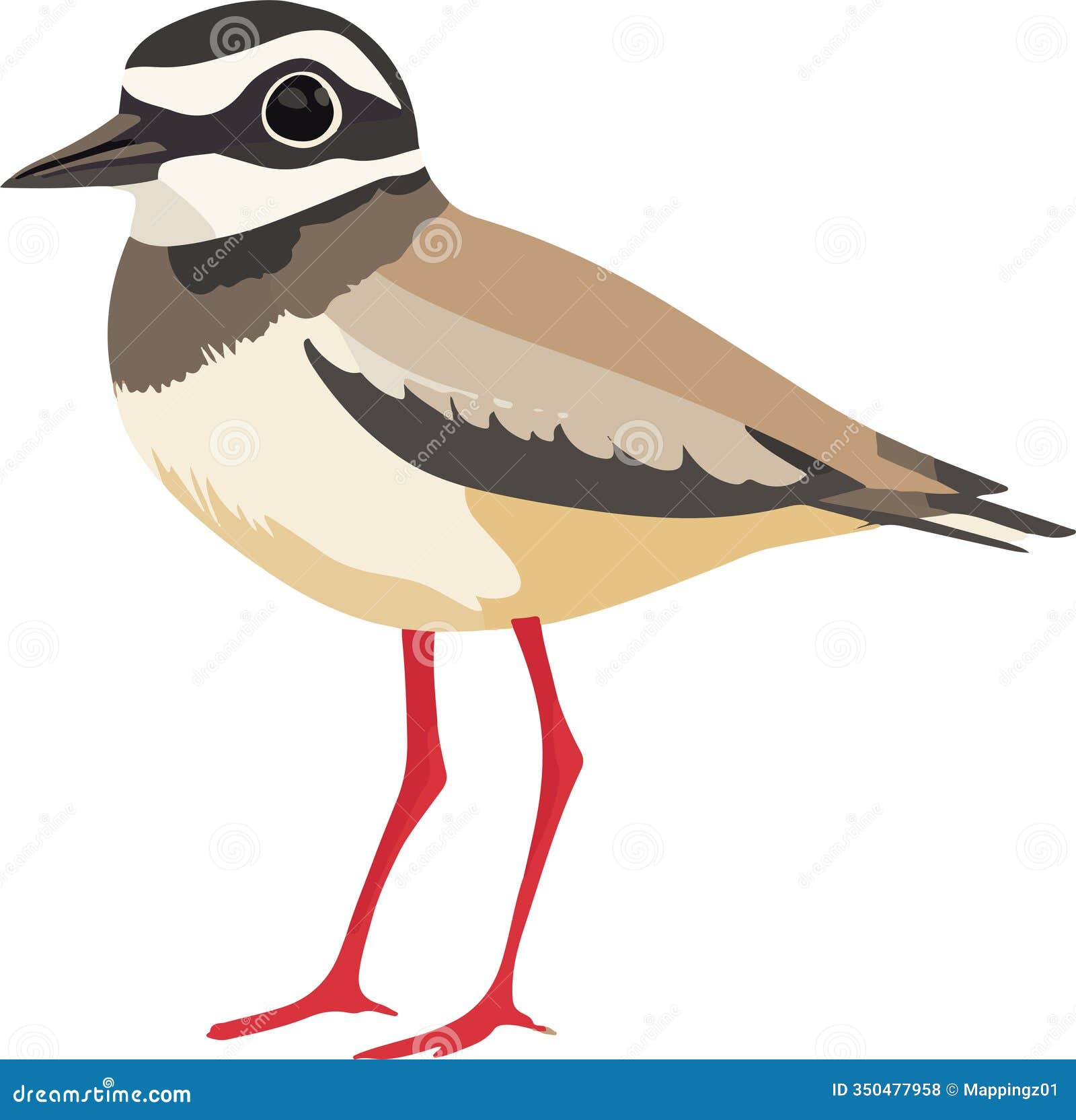 Simple Vector Plover Clipart Stock Vector - Illustration of icons ...
