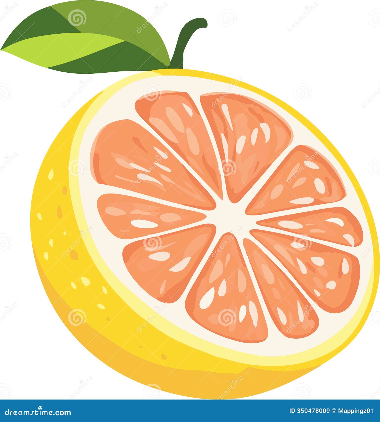 Simple Vector Pomelo Clipart Stock Vector - Illustration of kids, bold ...