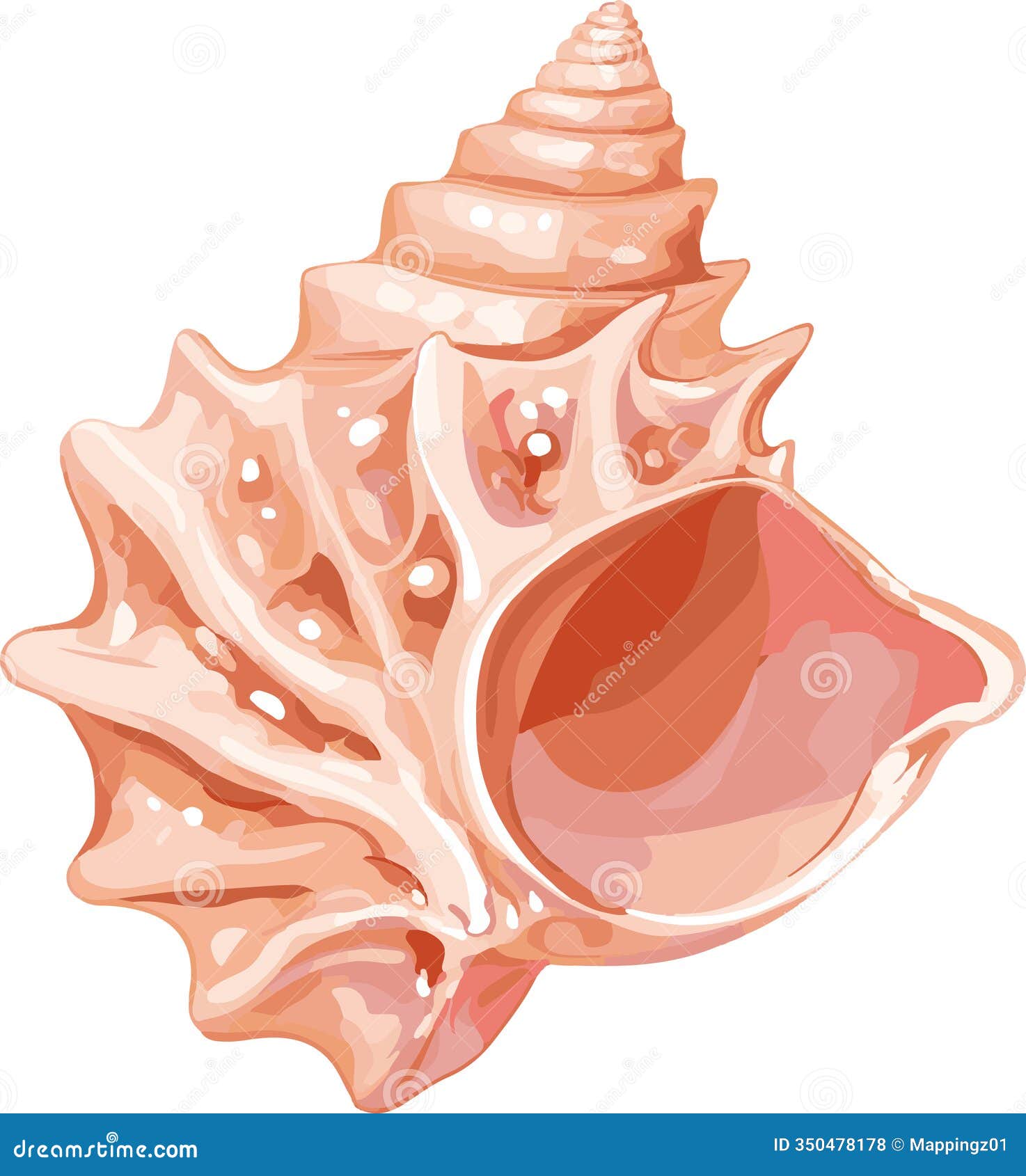 Queen Conch Illustration, Drawing, Engraving, Ink, Realistic Cartoon ...