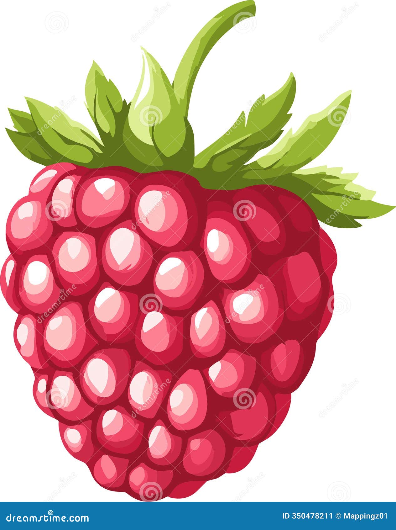 Simple Vector Raspberry Clipart Stock Vector - Illustration of ...