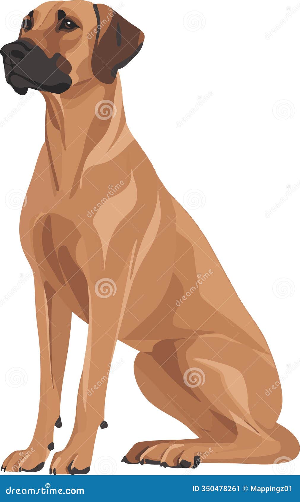 Simple Vector Rhodesian Ridgeback Clipart Stock Vector - Illustration ...