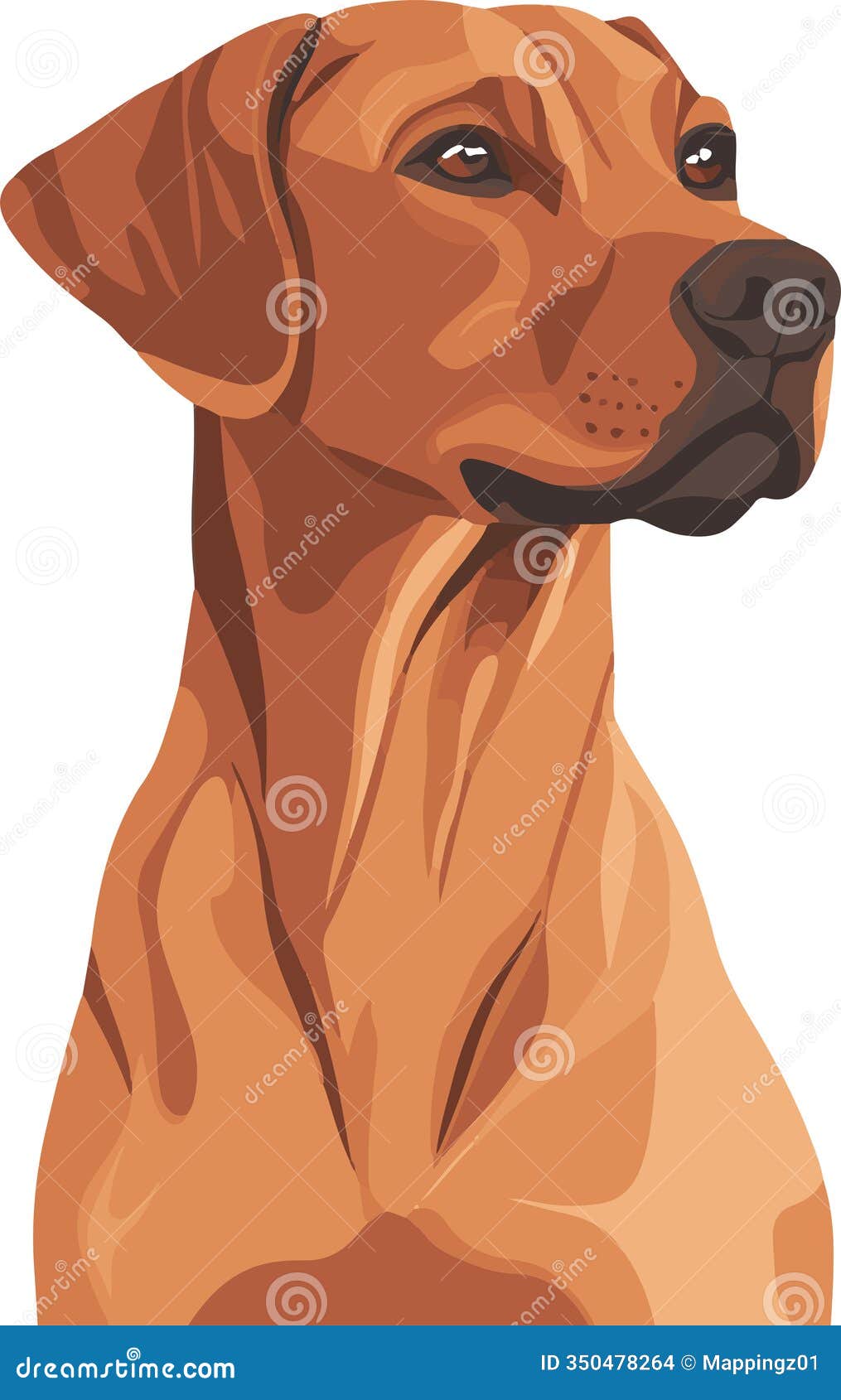 Simple Vector Rhodesian Ridgeback Clipart Stock Vector - Illustration ...