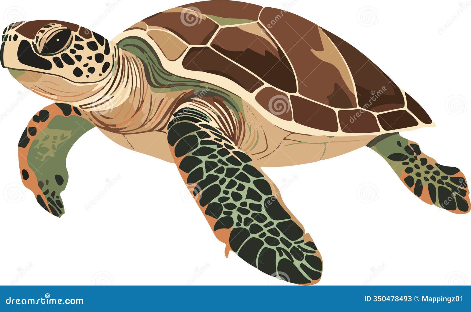 The Turtle Clipart Without Background Vector Illustration ...